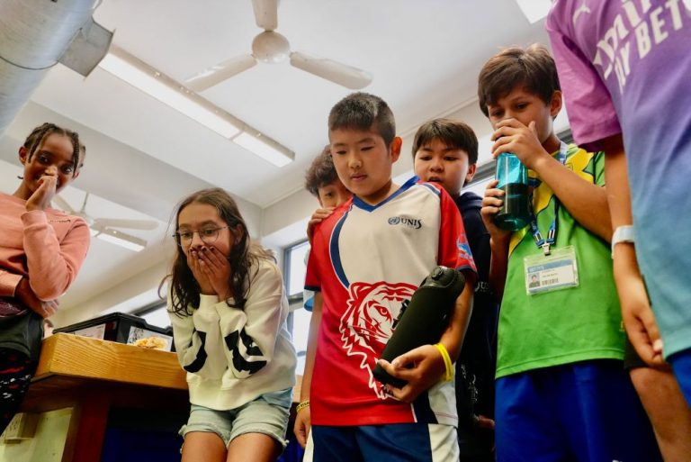 10 Current Trends in Elementary Education Today