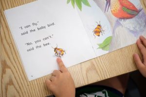 Intellectual Development for Early Childhood - UNIS Hanoi